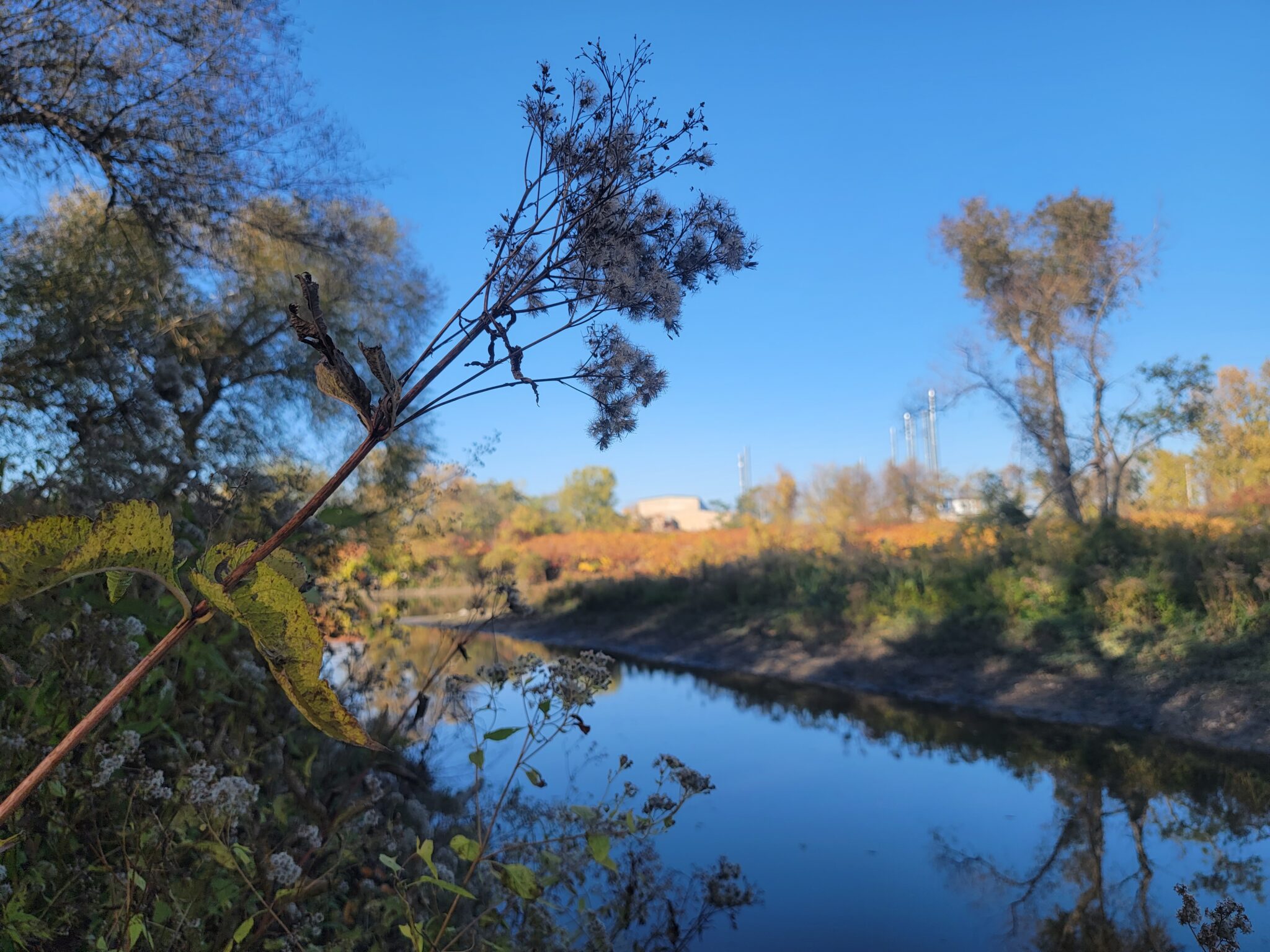 Seneca Bluffs Natural Habitat Park | Buffalo Blueway